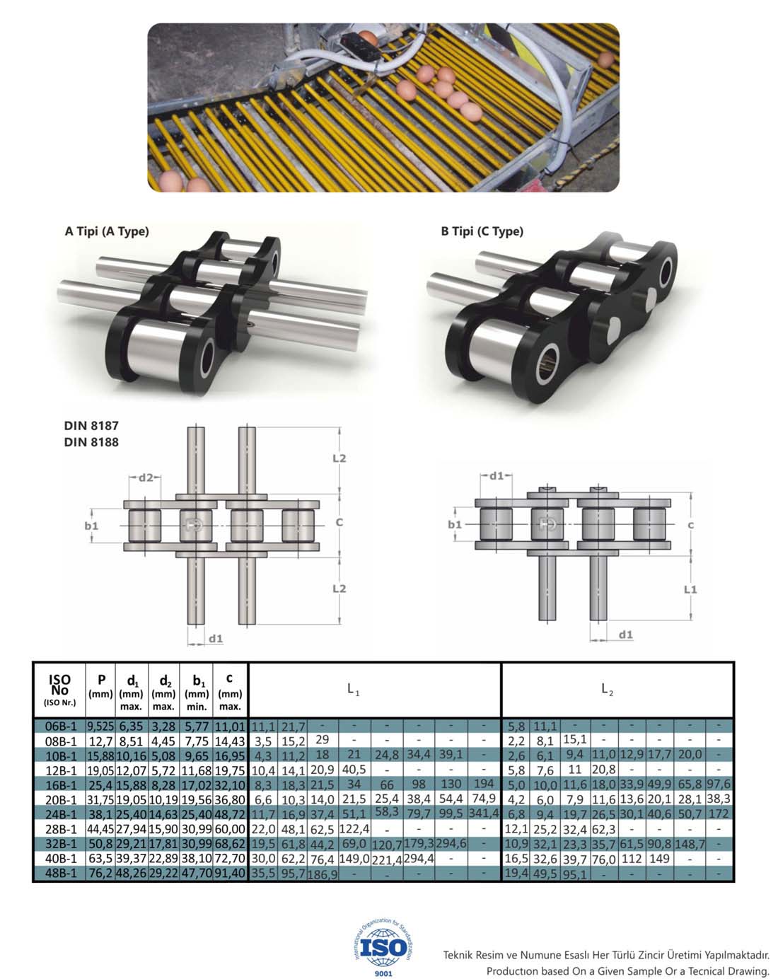 Extended Pin Chains – FD Zincir